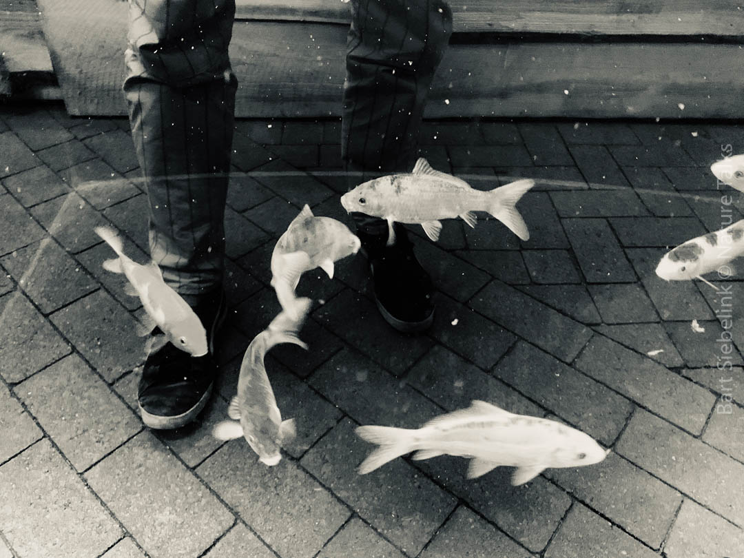 Bart Siebelink - Toveren met je smartphone 12:15 - 14:15 Nature Talks ...