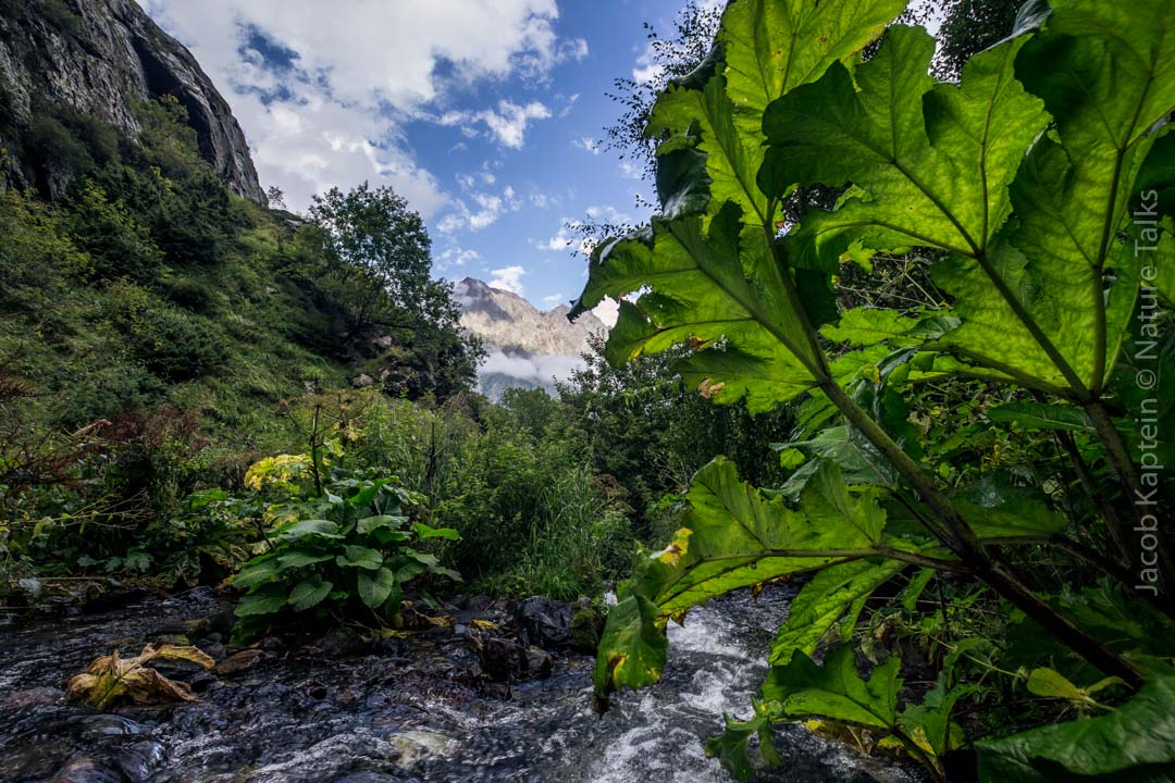 Jacob Kaptein - Nature Talks | Natuurfotografie