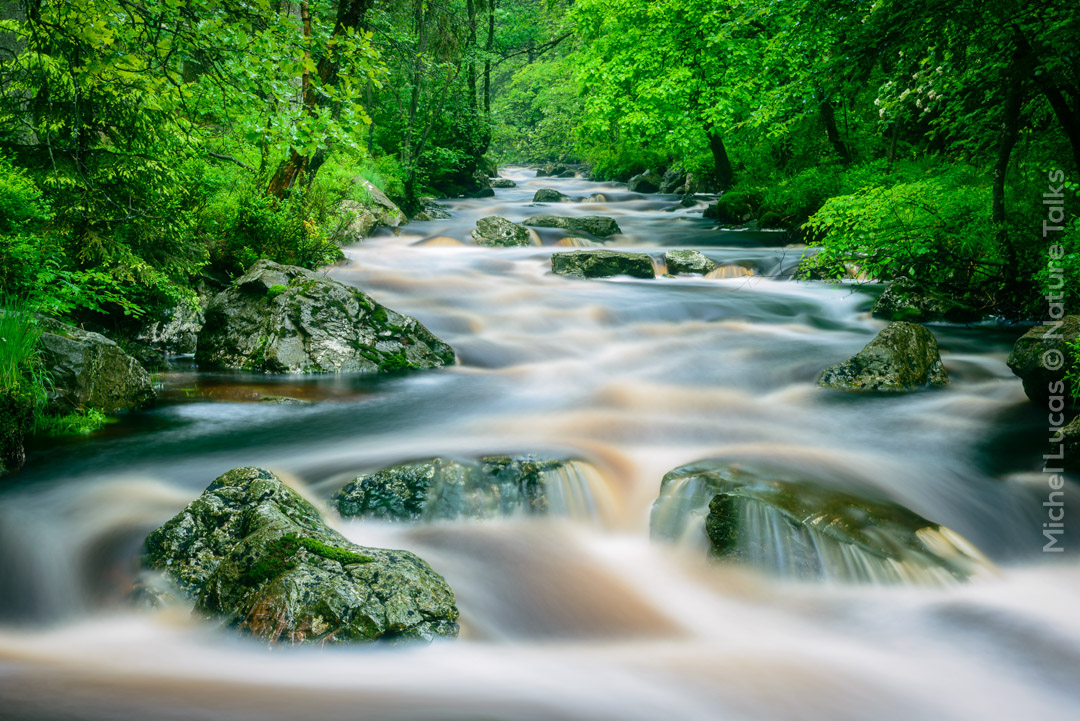 Michel Lucas - Nature Talks | Natuurfotografie