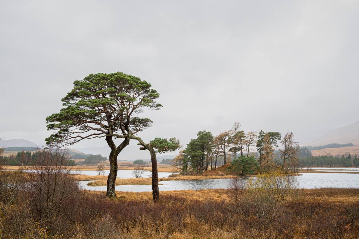 Reisverslag fotoreis Schotland Glencoe - Nature Talks | Natuurfotografie